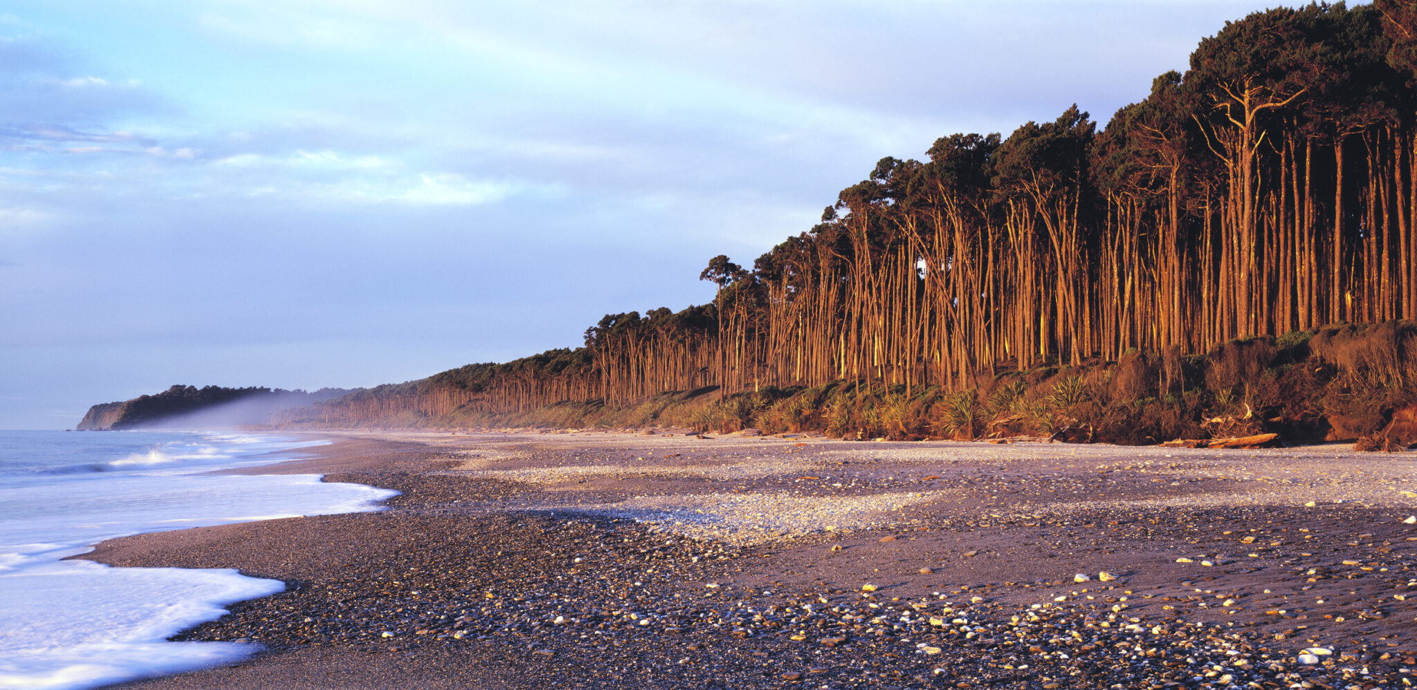 About Us - Totara Learning