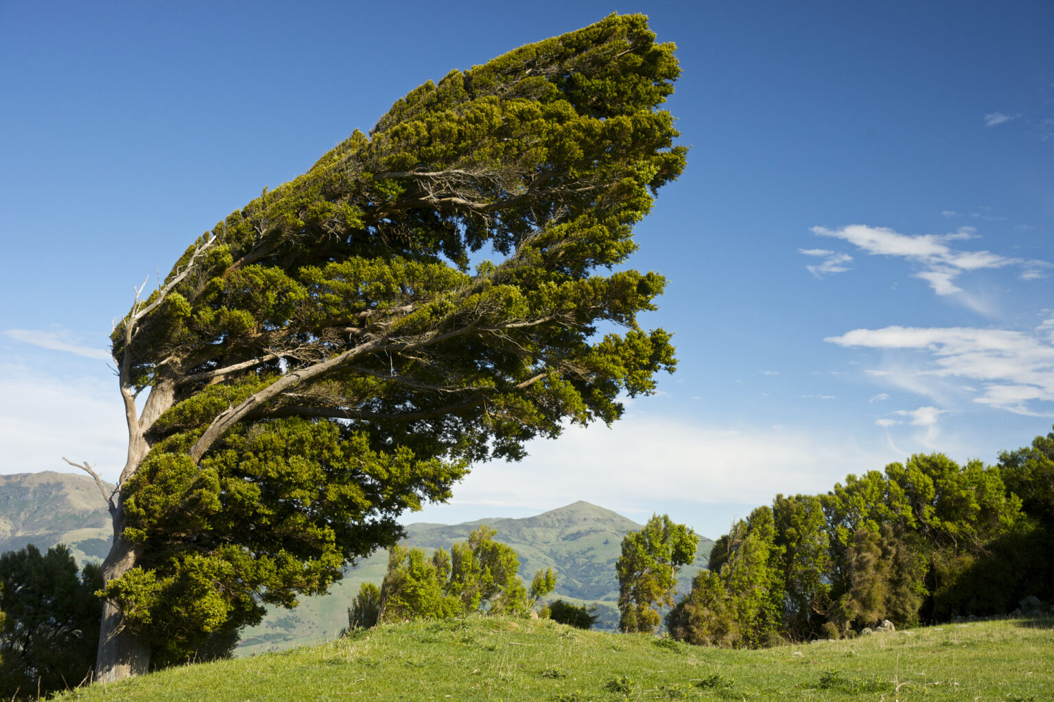 About Us - Totara Learning