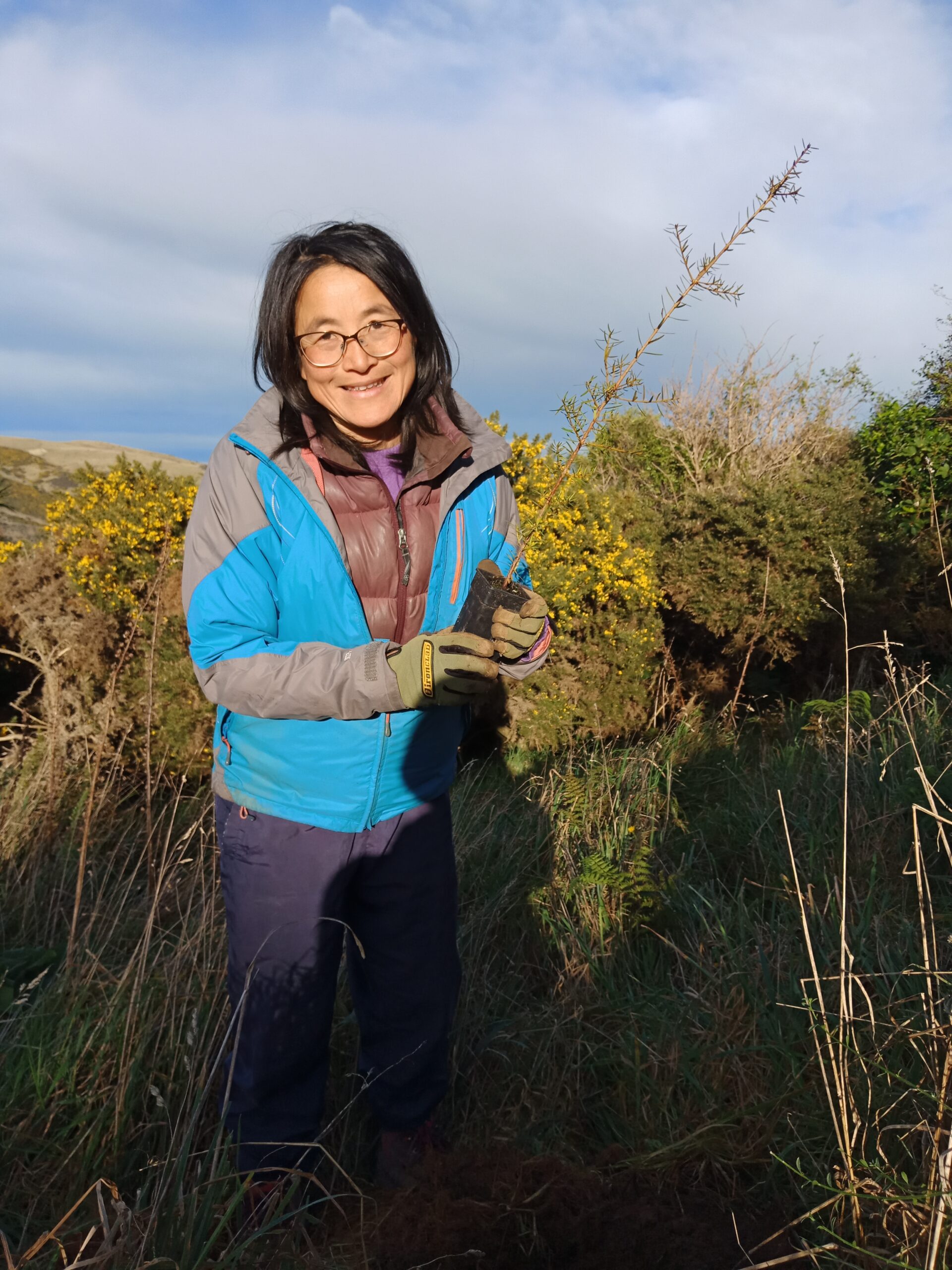 About Us - Totara Learning