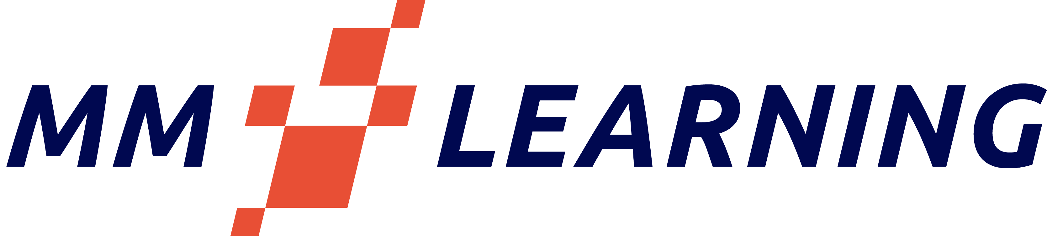 MM Learning Solutions - Totara Learning