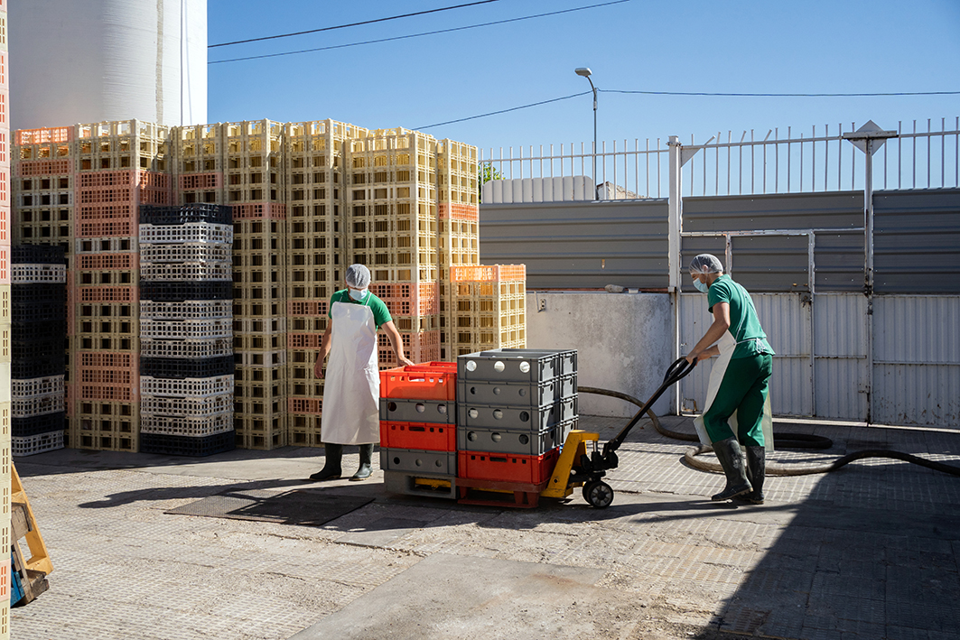 Performance Management System | Totara