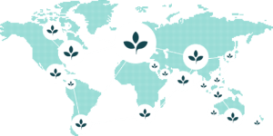 Why Choose Totara for your Employee Learning Platform?